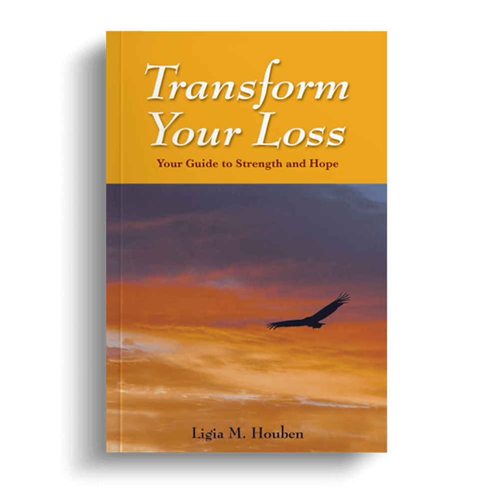 The 11 Principles of Transformation® - One on One - Ligia Houben